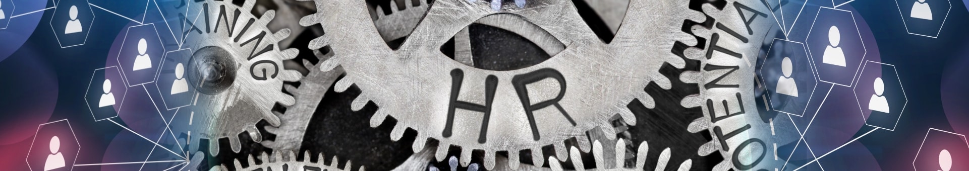 HR Services | HR:4UK